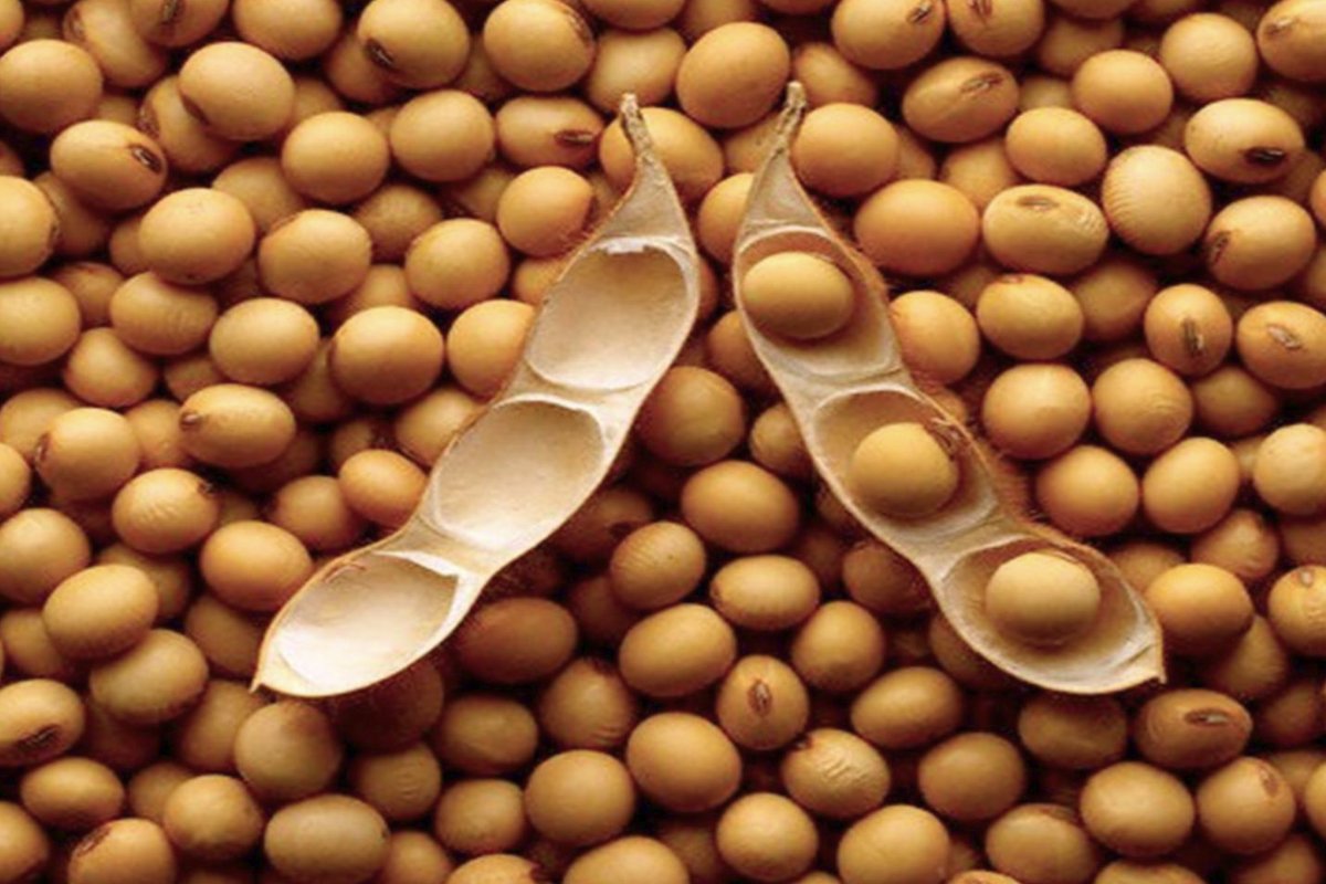 Commodities Alimentación – Follow The Rule Holding